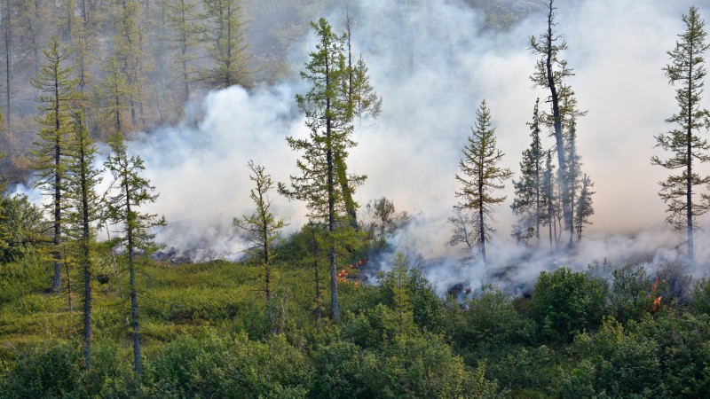 Gas sensors overview | Bosch Sensortec