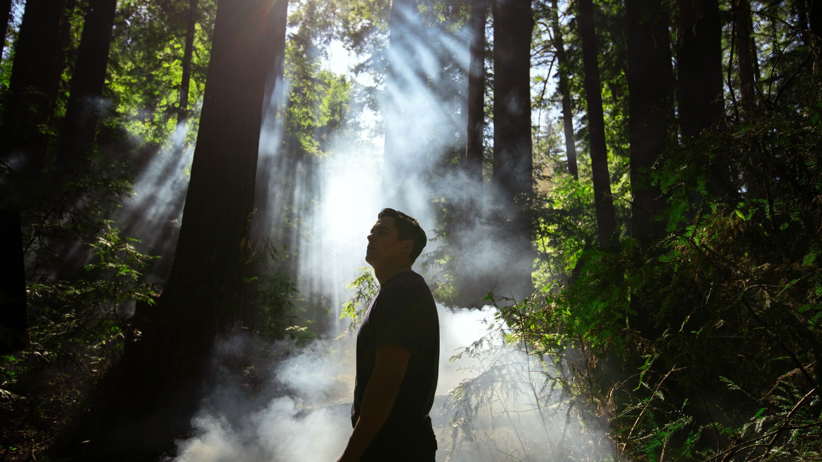 Bosch MEMS Technology | Bosch Sensortec