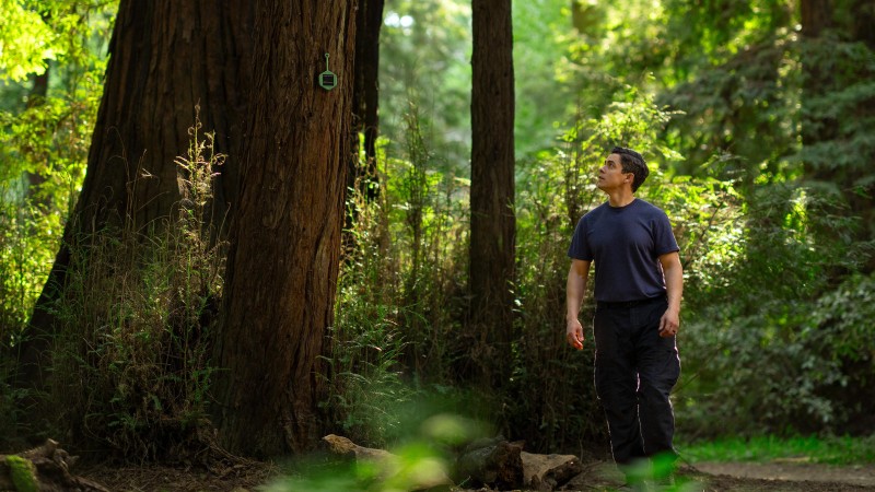 How sensing solutions help to detect wildfires and to fight against ...