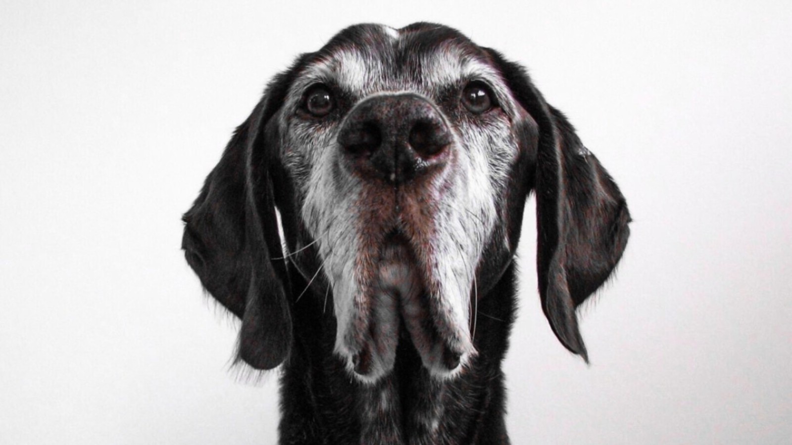 Bosch MEMS Technology | Bosch Sensortec