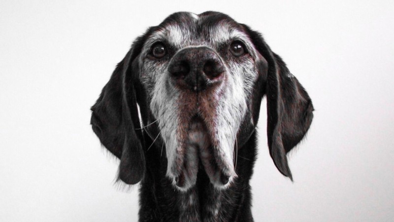 Gas sensors overview | Bosch Sensortec