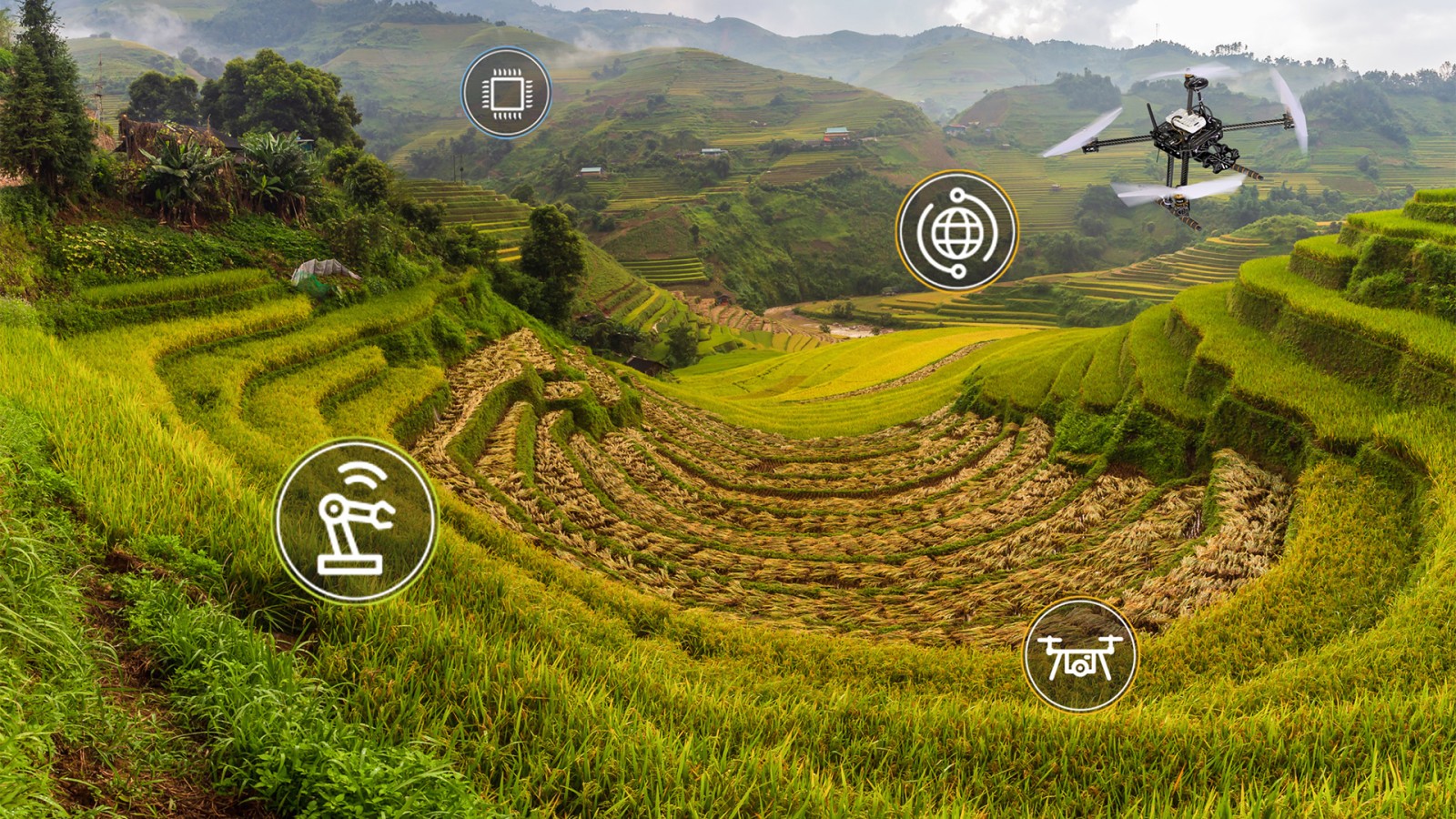 NXP HoverGames: 3 winners | Bosch Sensortec